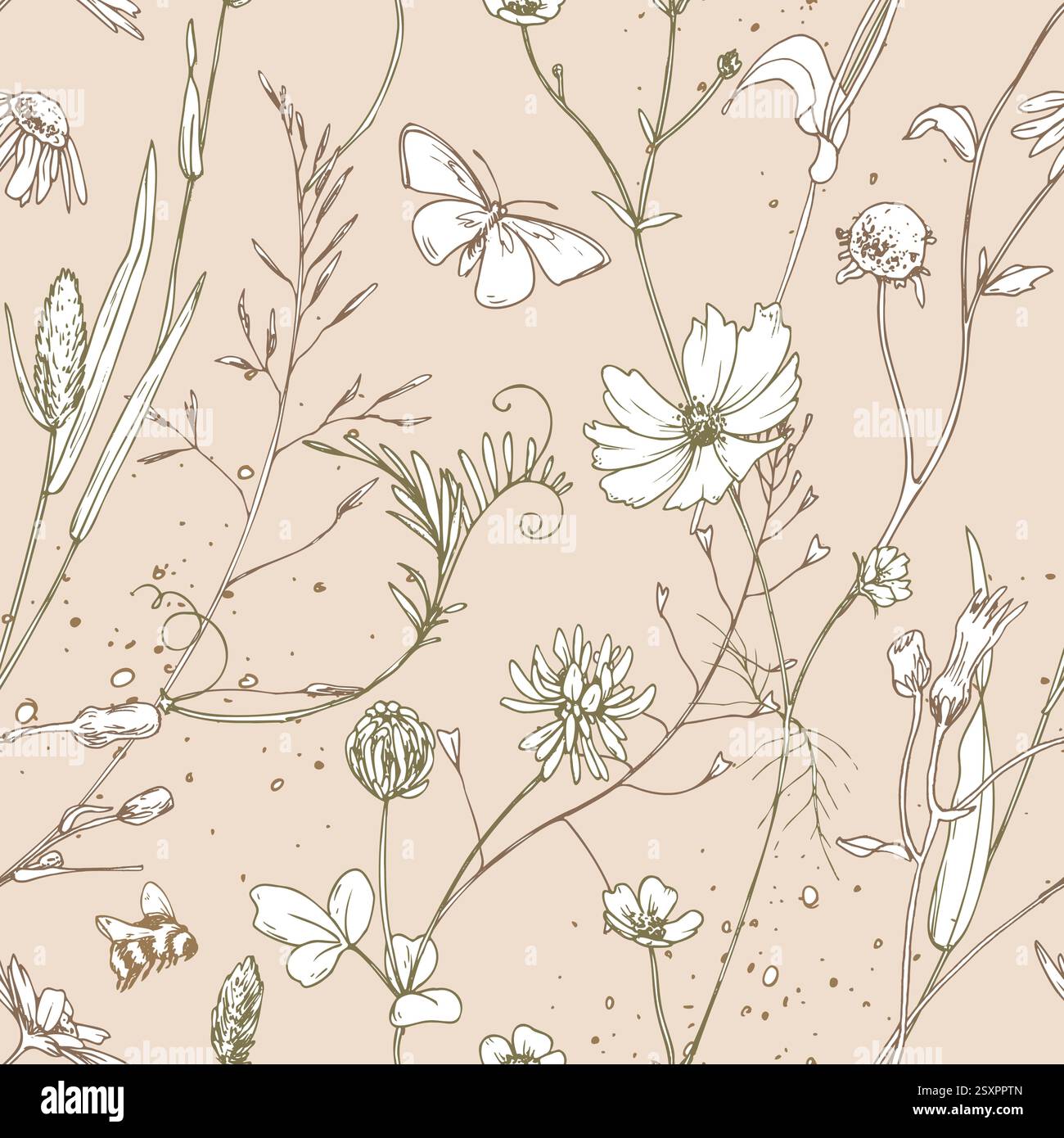 Field, meadow, wild flowers and herbs cosmos, chamomile, clover and ...