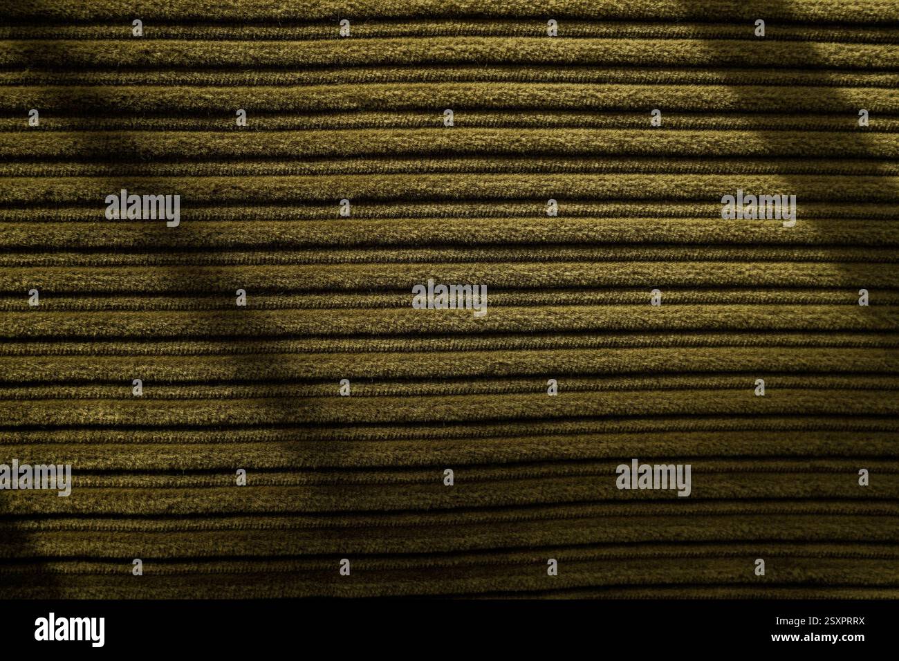 Moss green corduroy fabric texture with horizontal ribbed pattern and ...