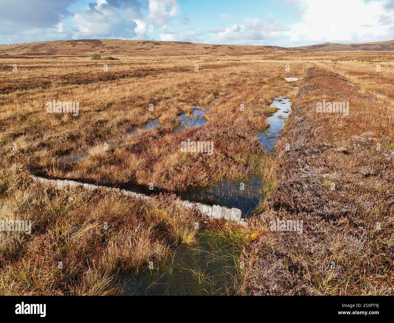 An example of peatland restoration Stock Photo - Alamy