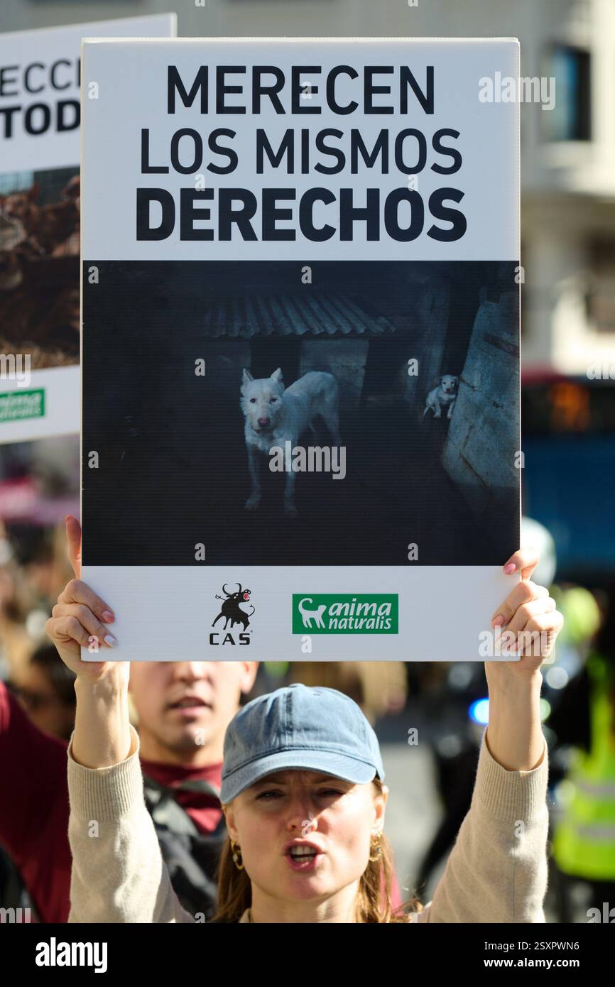 Valencia, Spain. 02nd Feb, 2025. People take part in a protest against ...