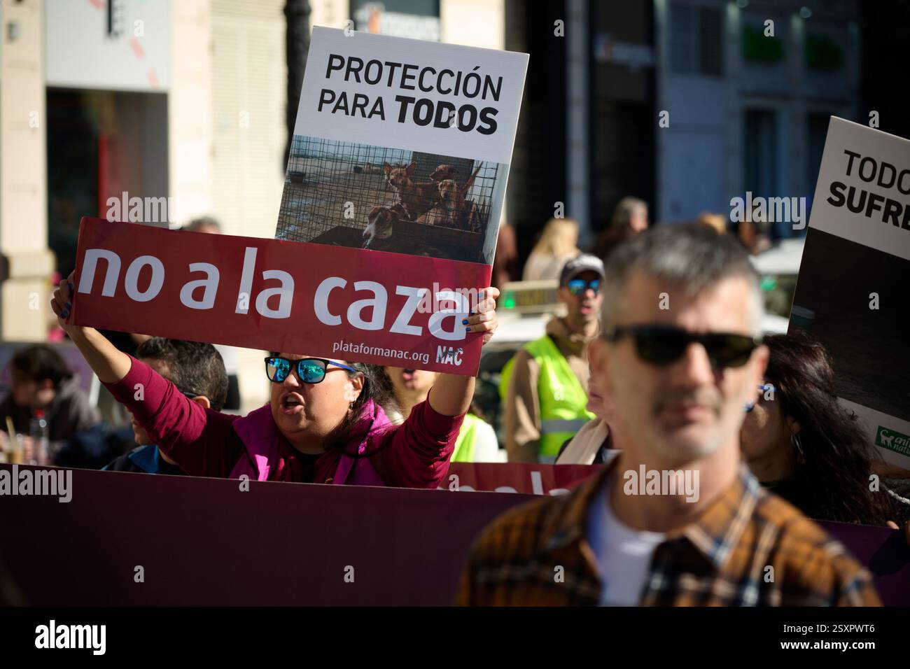 Valencia, Spain. 02nd Feb, 2025. People take part in a protest against ...