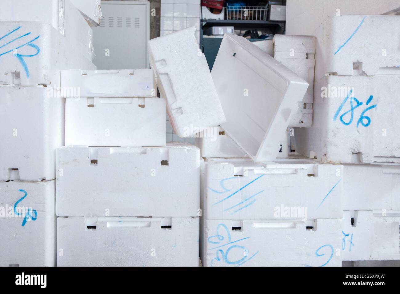 White expanded polystyrene boxes pilled at wholesale market. Fish ...