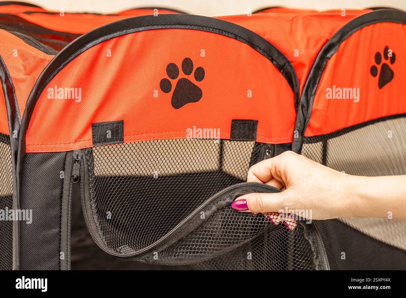 female hand opening door of home dog pen. The breeder opens the ...