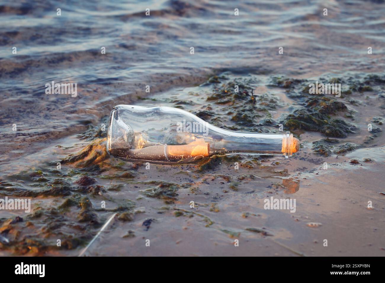 A glass bottle with a rolled up message inside lies on a wet sandy ...