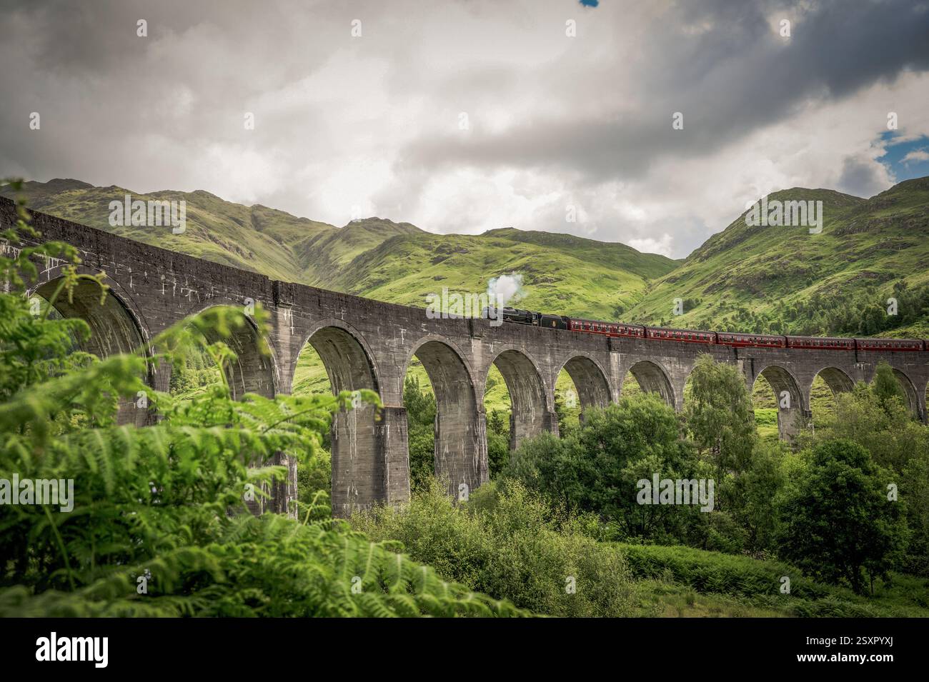 Glenfinnan Viaduct, Scotland Stock Photo - Alamy