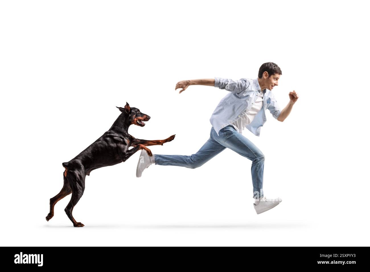 Dog chase man hi-res stock photography and images - Alamy