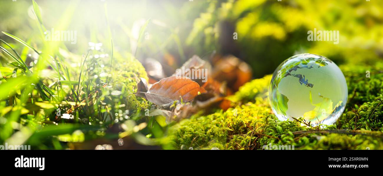 Glass globe new year earth ball and forest ground environment, save a ...