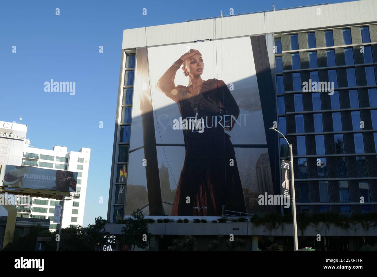 Los Angeles, California, USA 24th February 2025 Actress Zoe Saldana YSL ...