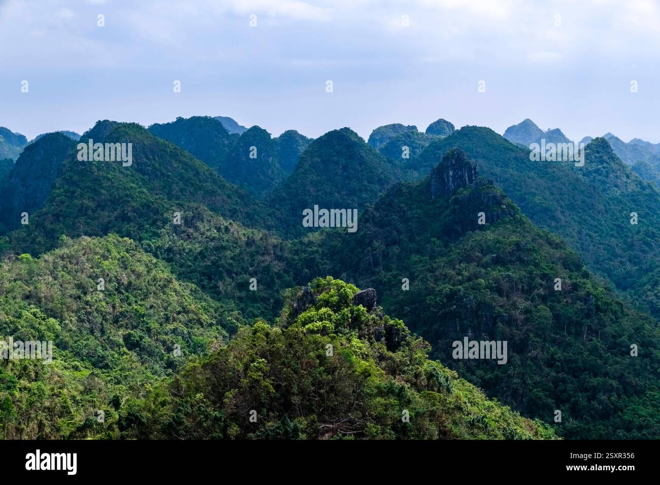 Wooded hills in Cat Ba National Park, established in 1986 and part of t ...