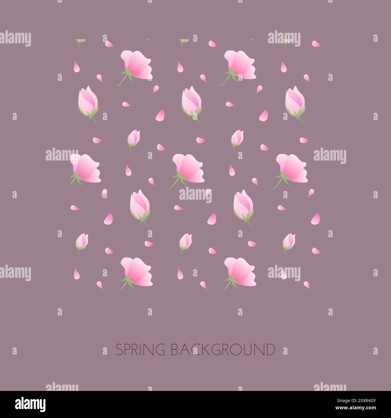 Brown background with sakura. Flowers and petals pink color isolated on ...