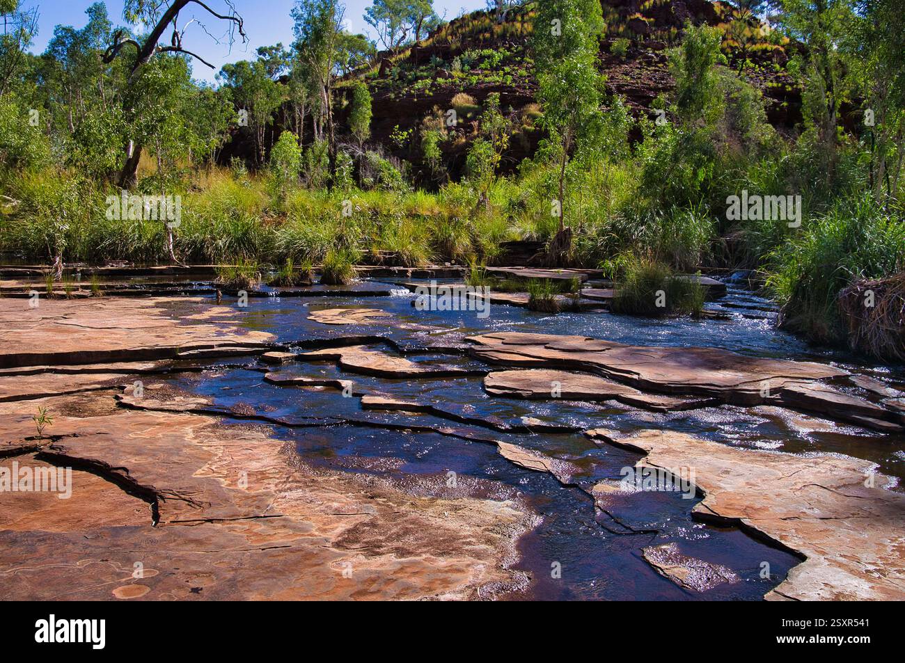 Clear mountain stream and lush green vegetation in the Kalamina Gorge ...