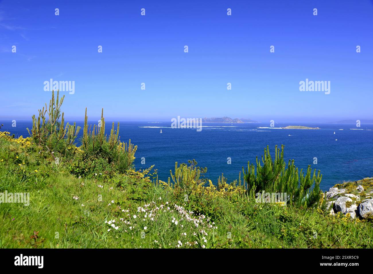 Spring landscape of the Atlantic Ocean on the Camino de Santiago with ...