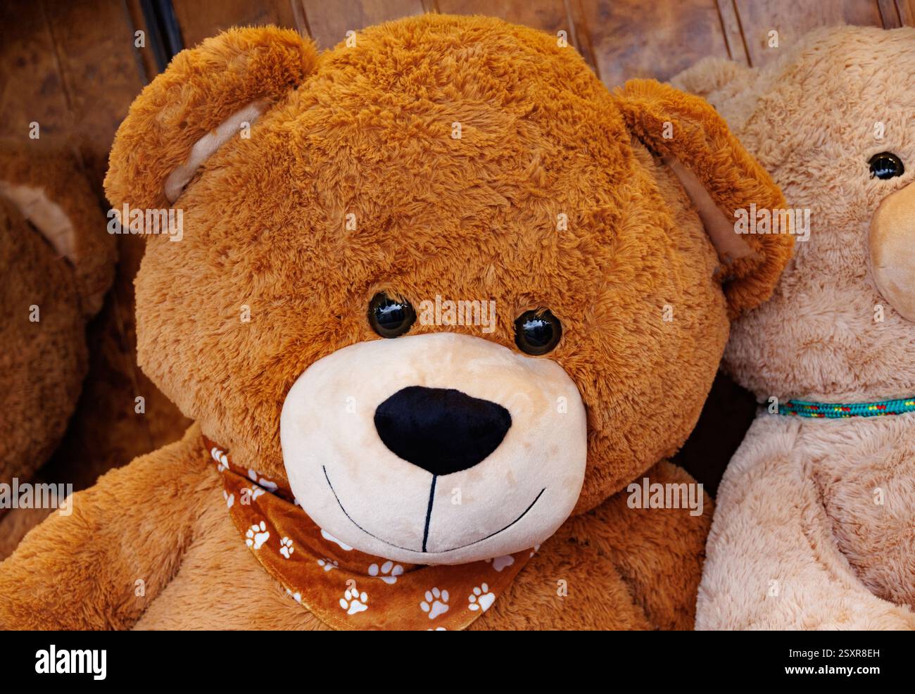 Giant teddy bear wearing hi-res stock photography and images - Alamy