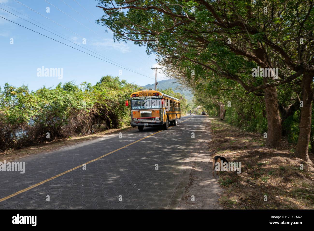 Traditional Chicken Bus on Ometepe Island in Nicaragua Stock Photo - Alamy