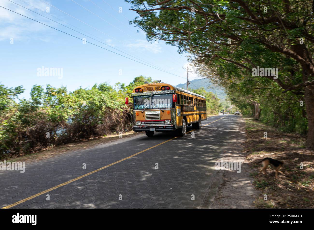 Traditional Chicken Bus on Ometepe Island in Nicaragua Stock Photo - Alamy