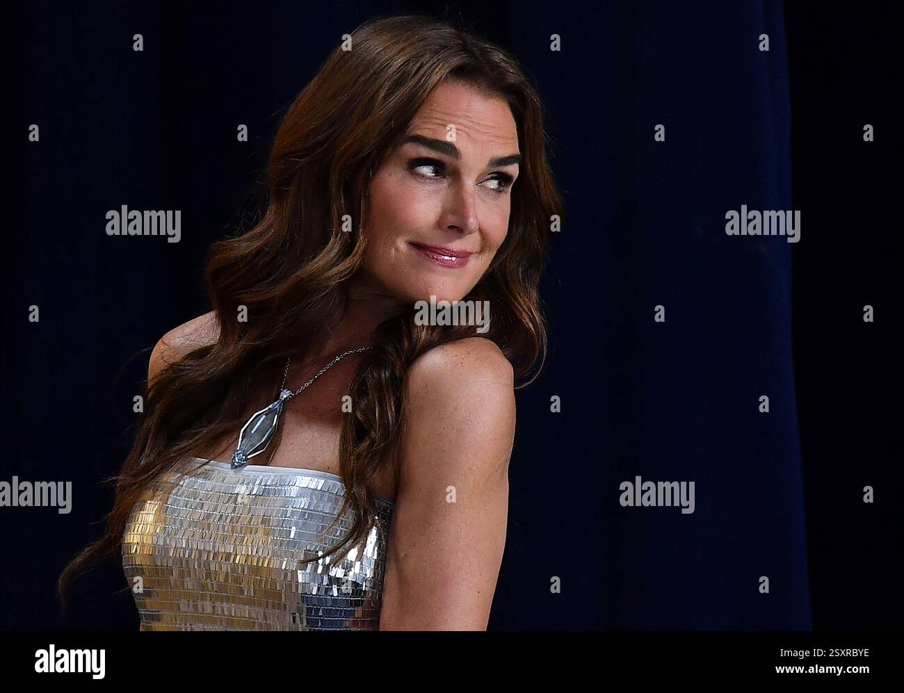 Brooke Shields attends the 31st Annual Screen Actors Guild Awards at ...