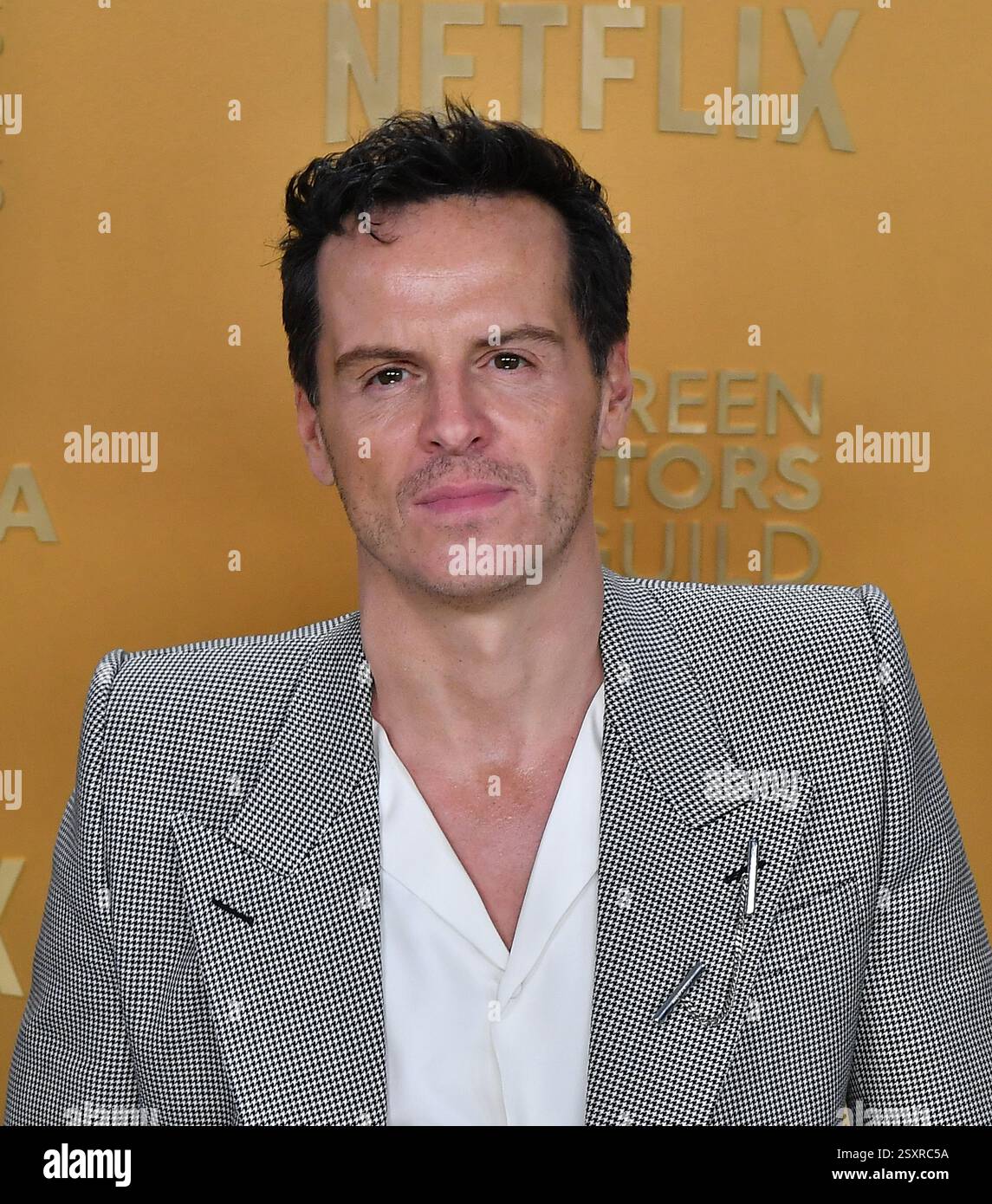 Andrew Scott attends the 31st Annual Screen Actors Guild Awards at ...