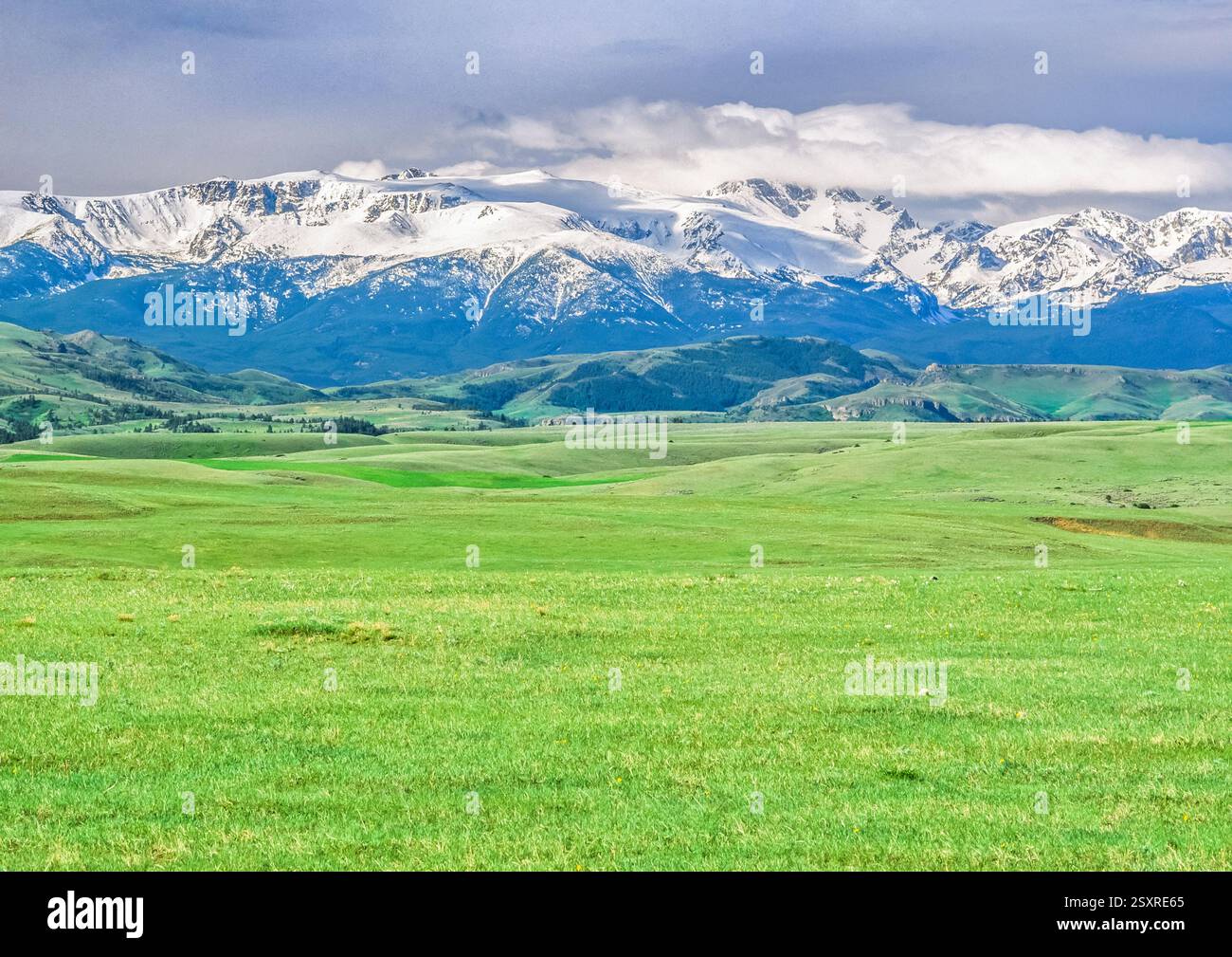 Mt 2885 hi-res stock photography and images - Alamy