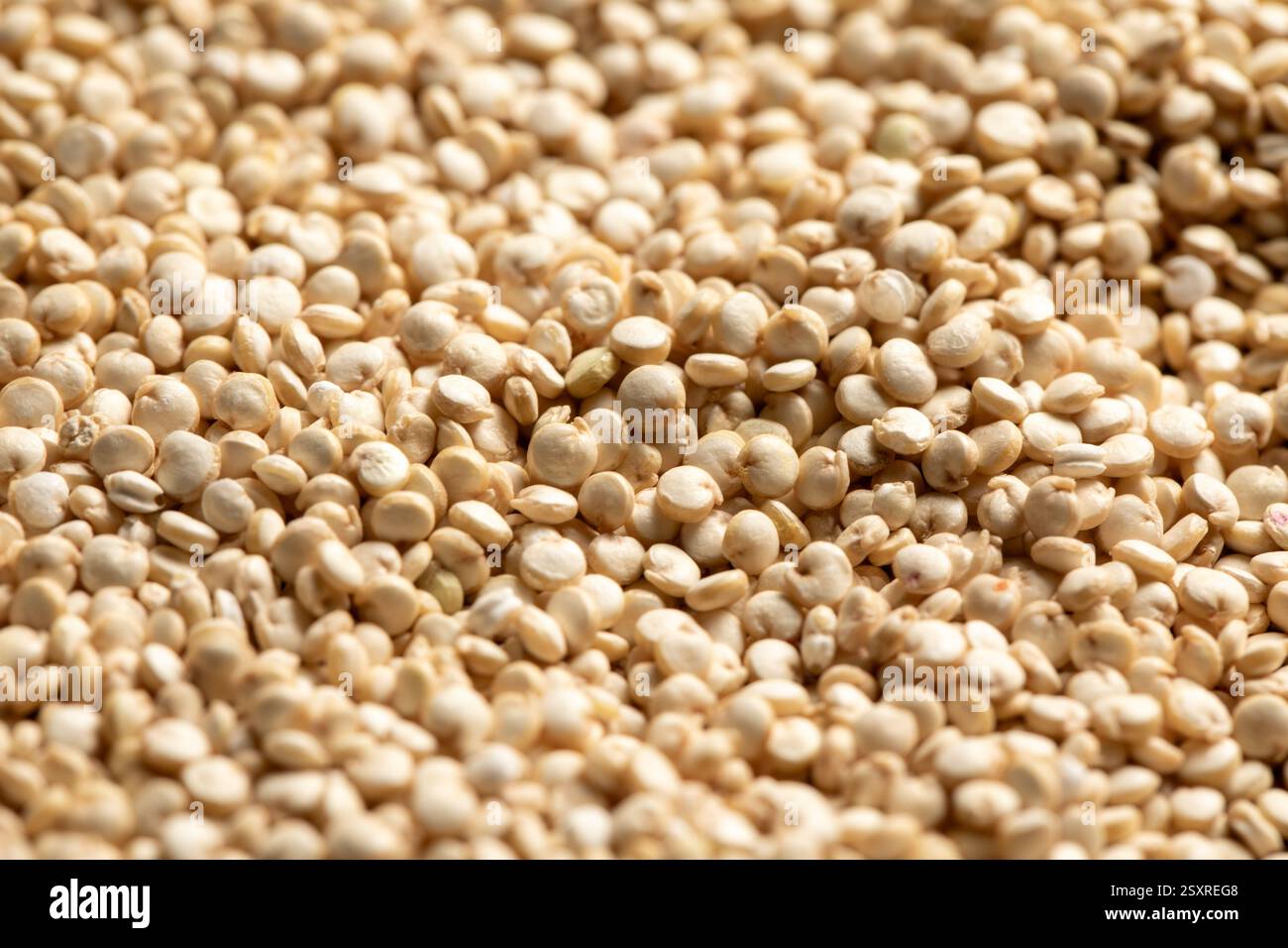 Close-up of quinoa seeds Stock Photo - Alamy