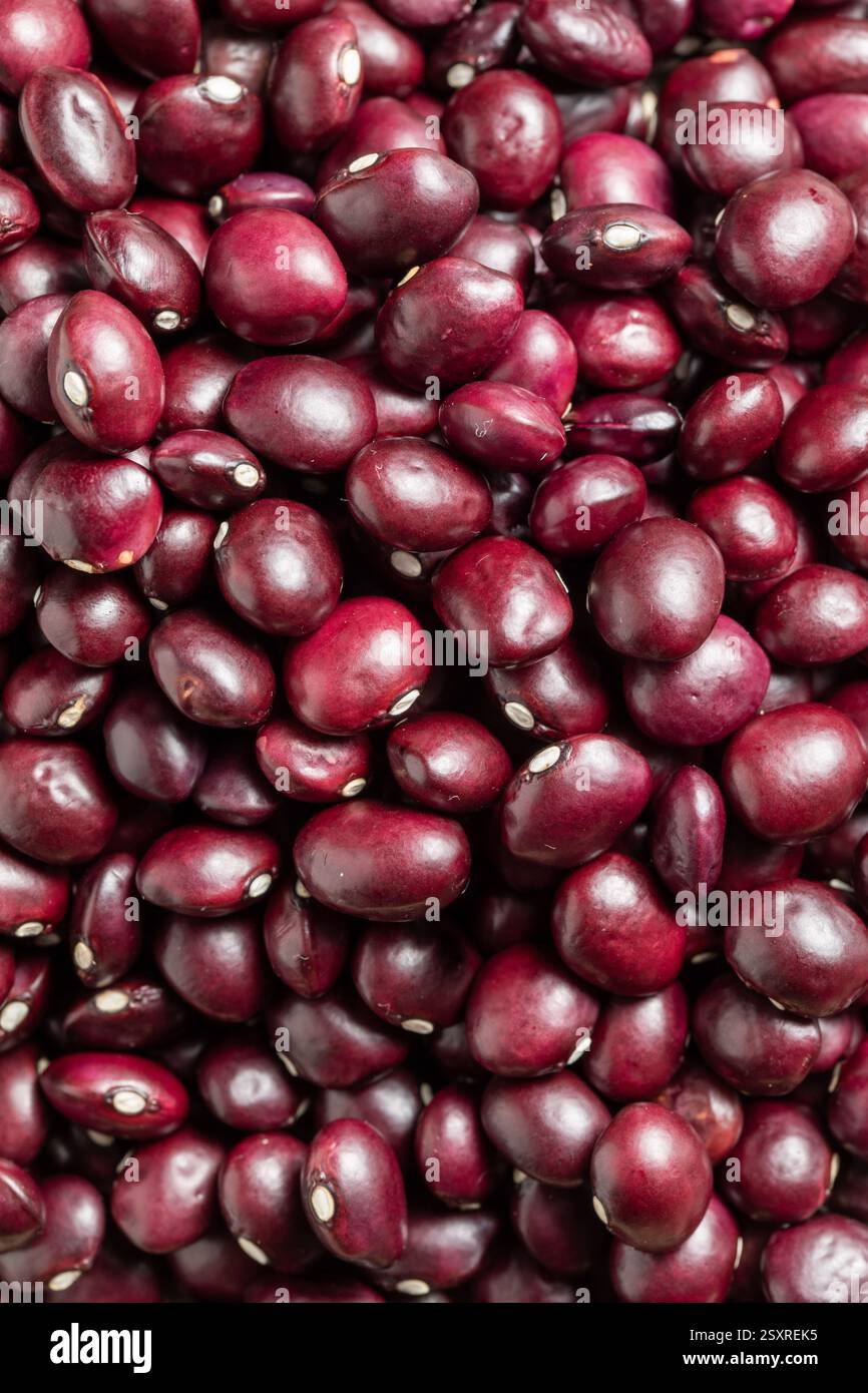 Group of red beans on a macro photography Stock Photo - Alamy