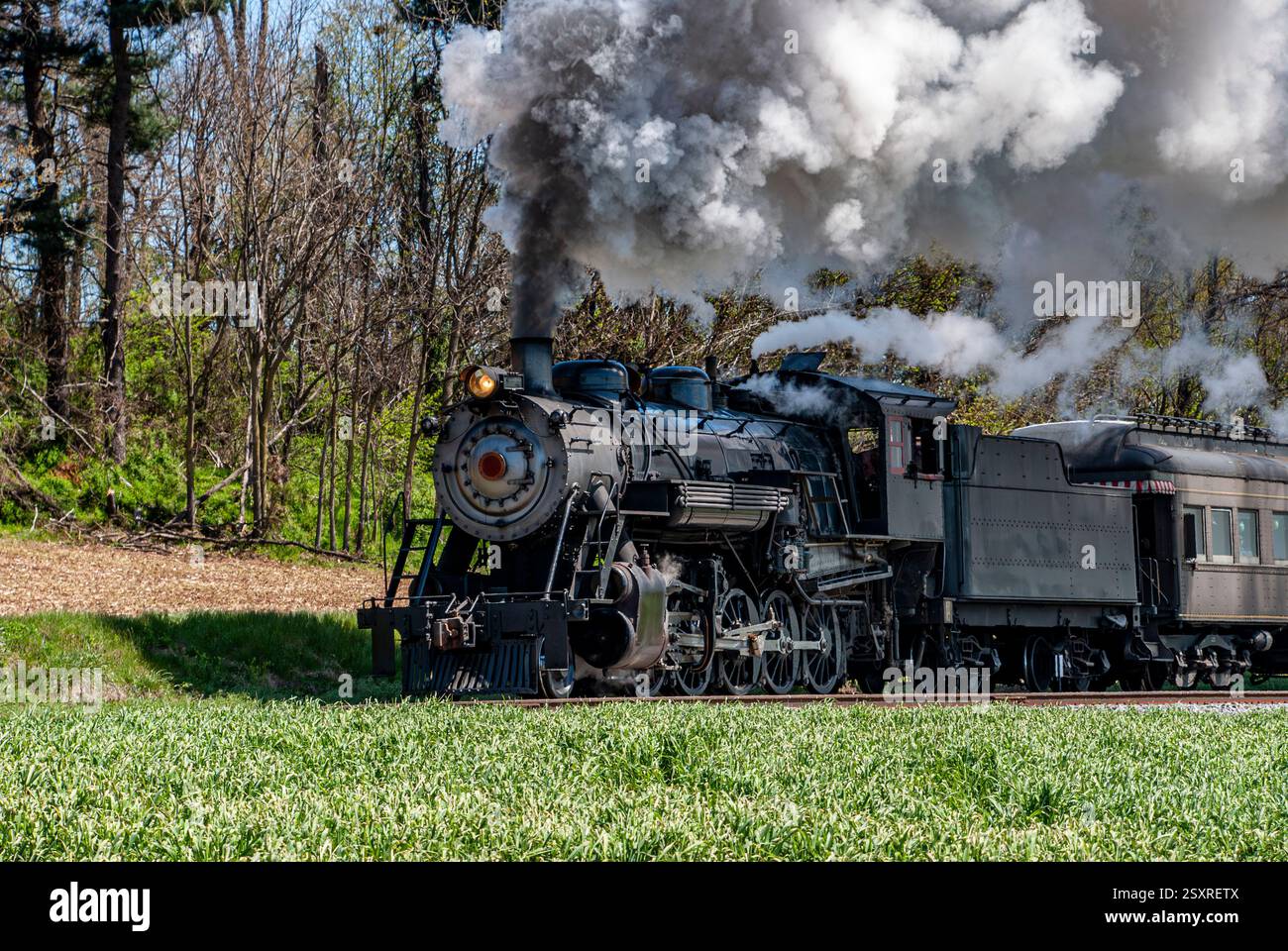 A powerful steam locomotive moves through vibrant green fields ...