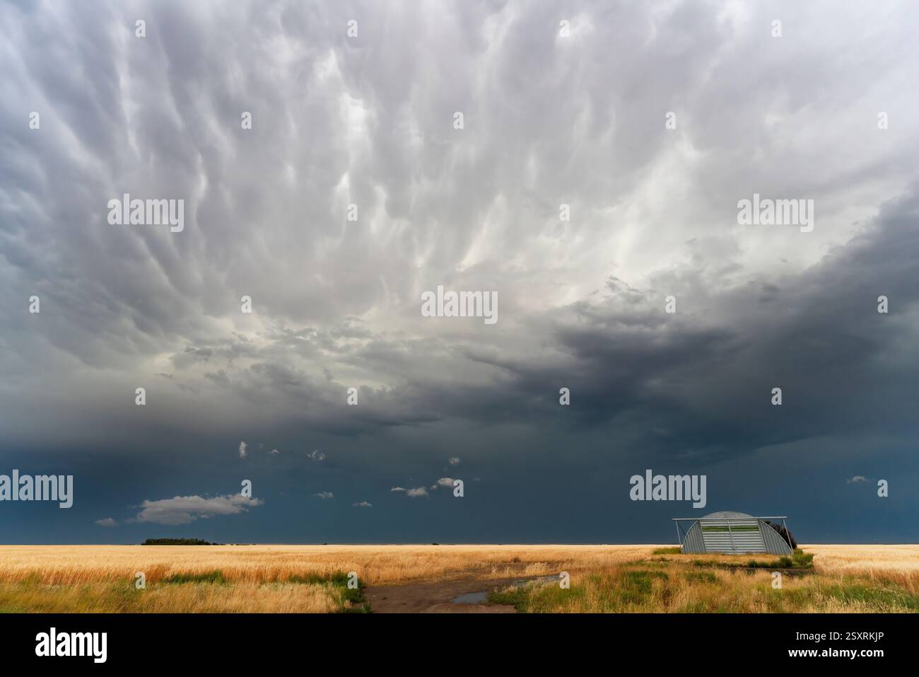 Cumulus clouds over prairie hi-res stock photography and images - Alamy