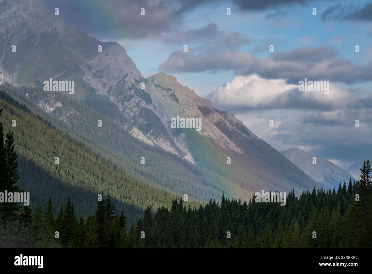 Stunning rainbow appearing over the pine forests and mountain peaks of ...