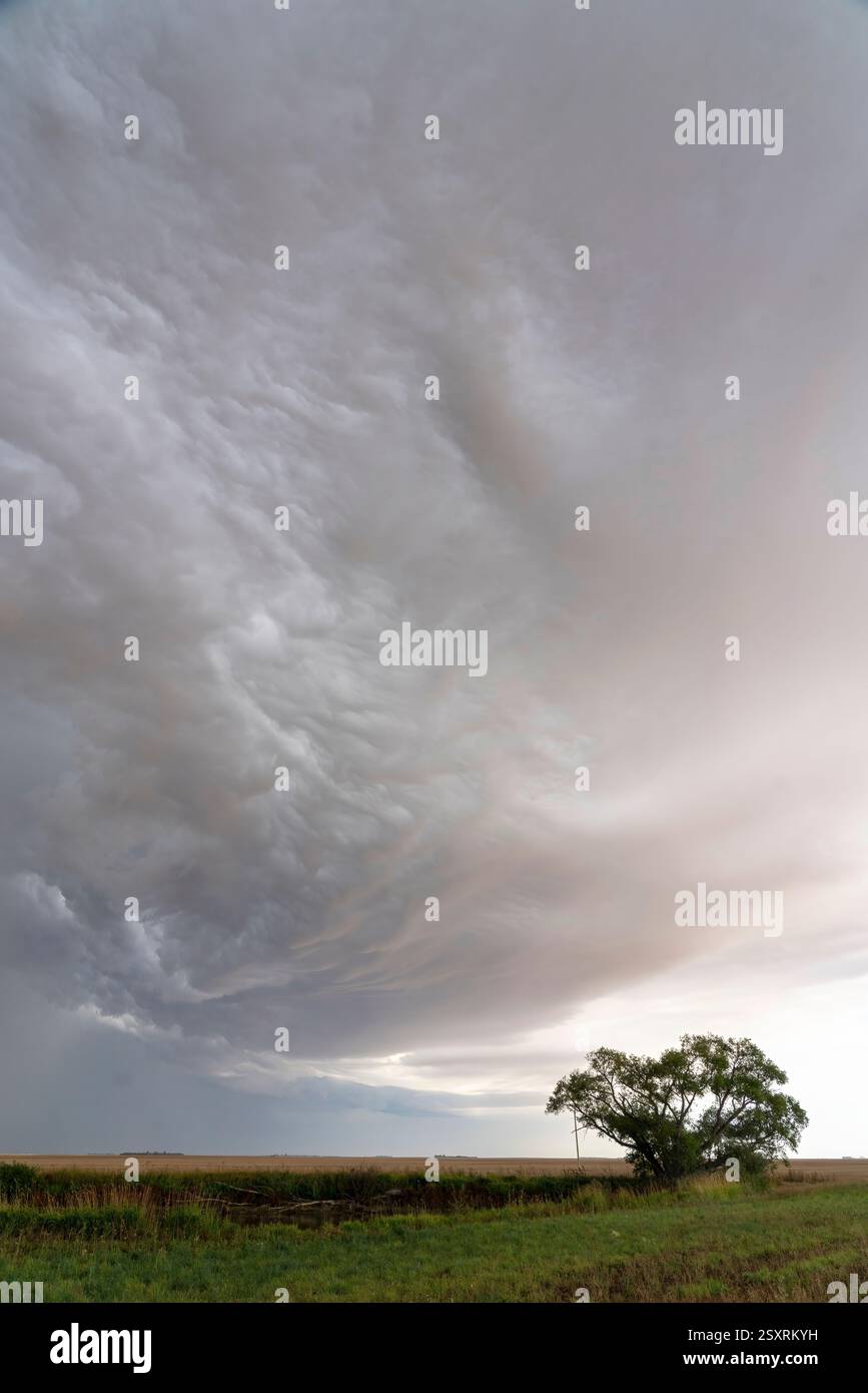 Shelf cloud forming over the plains with a single tree in the ...