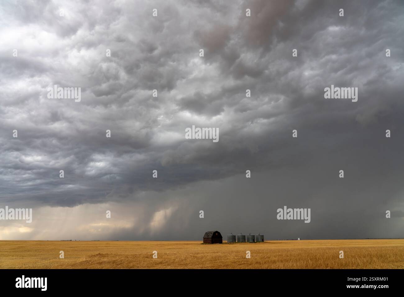 Dark storm clouds gathering over a dry golden field with grain silos ...