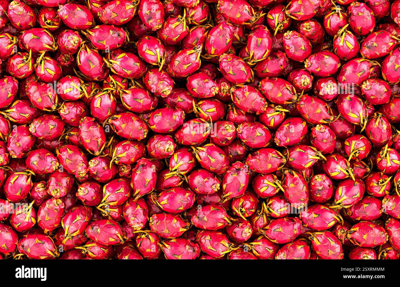 Pitaya or dragon fruits background, wallpaper. 3D rendering Stock Photo ...