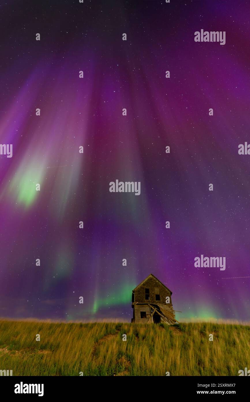Aurora borealis shining over an old abandoned house in a field at night ...