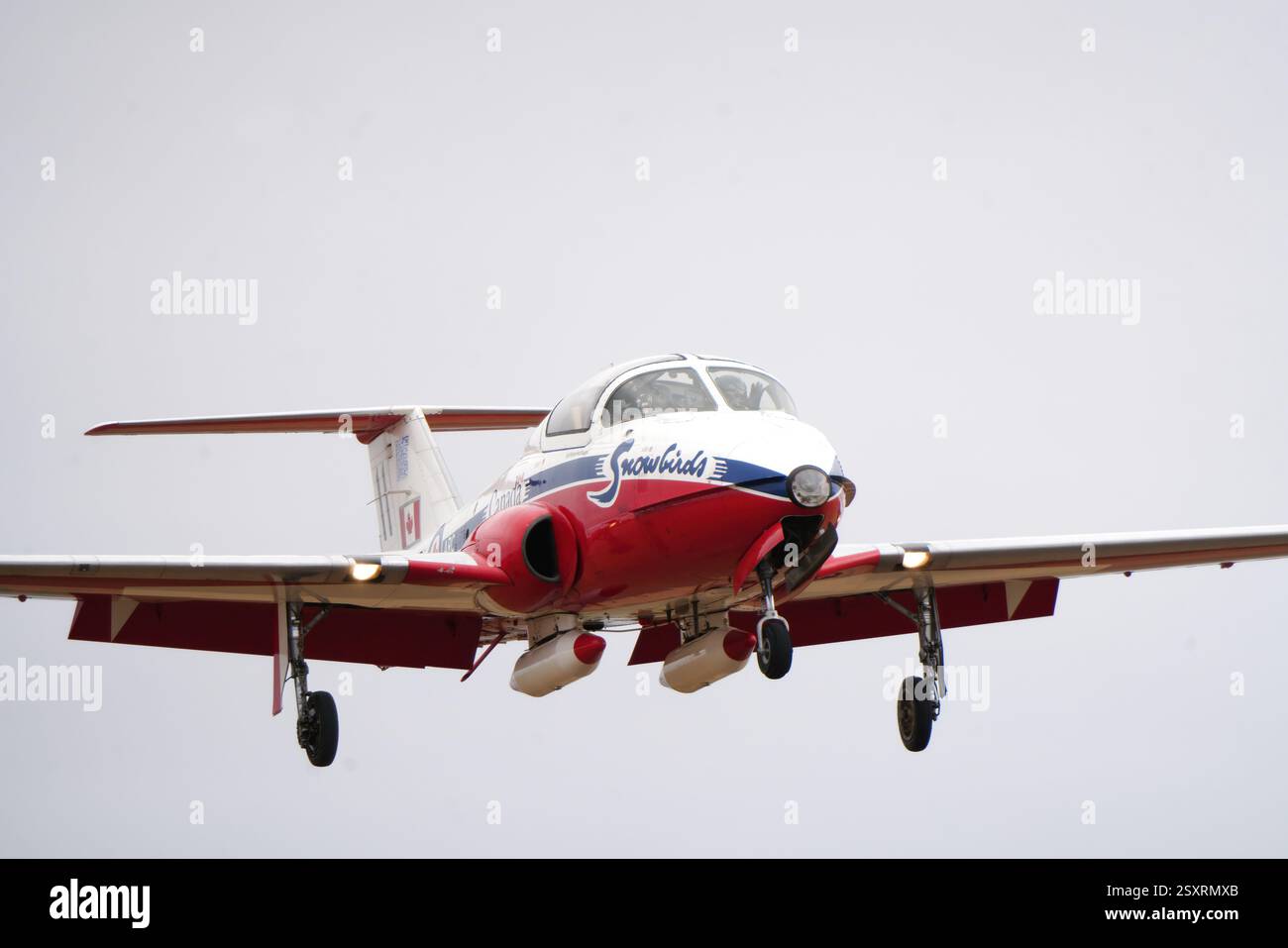 Canadian forces snowbirds canadair ct-114 tutor aircraft is landing ...