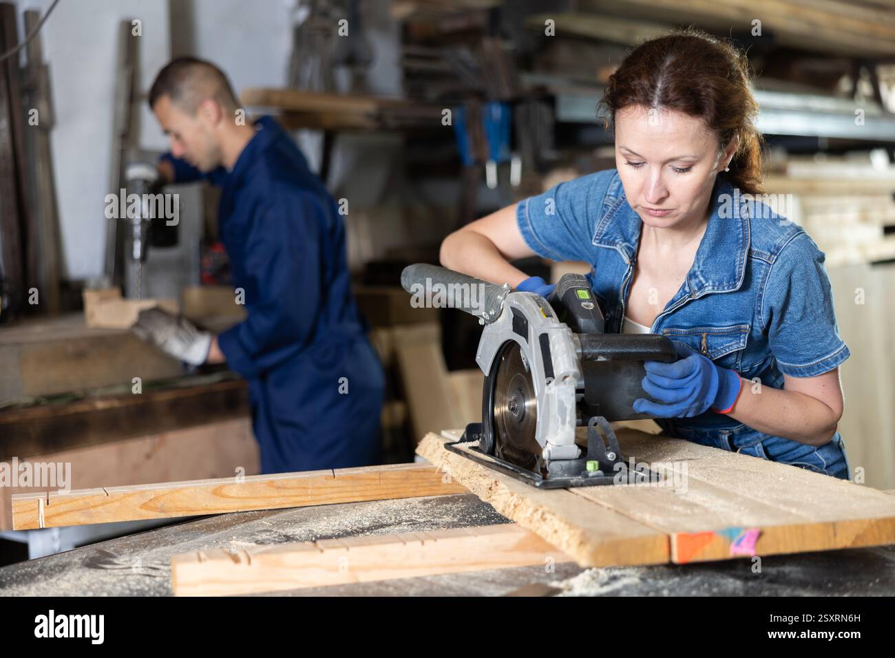 Female employee of workshop cuts wooden board into narrow parts using ...