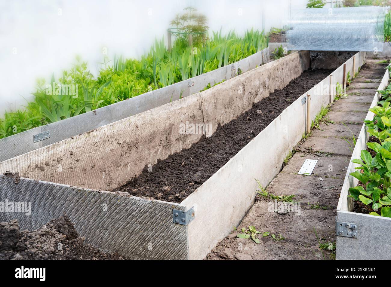 Metal netting against rodents. The mesh protects root crops from mice ...