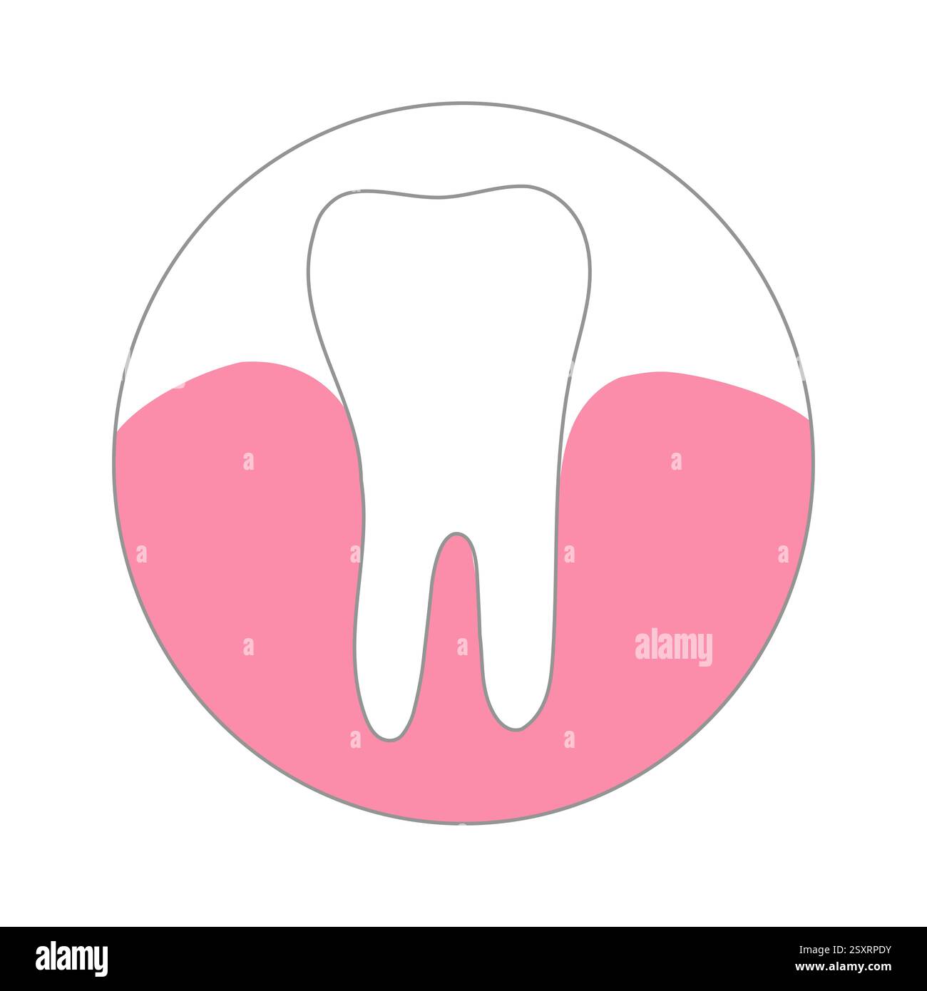 Simple circle icon of tooth and gum Stock Vector Image & Art - Alamy