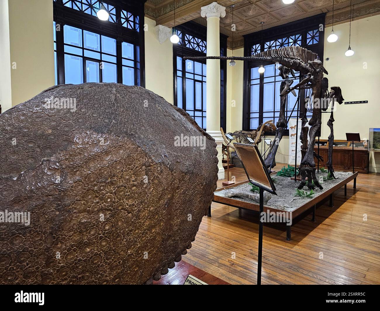 Mexico City, Mexico - Jan 31 2024: UNAM Geology Museum in CDMX houses ...