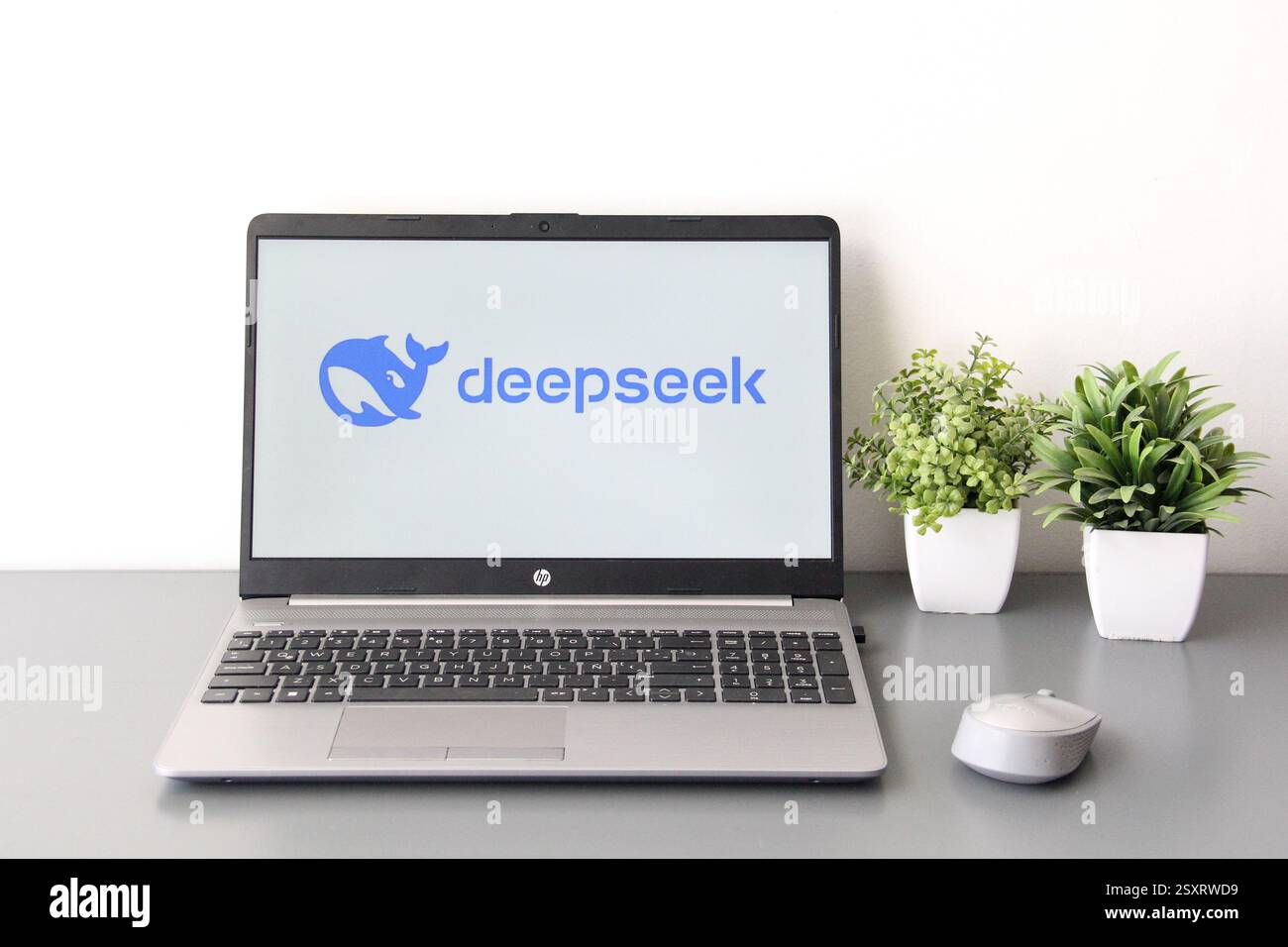 Mexico City, Mexico - Feb 21 2025: DeepSeek mobile application is a ...