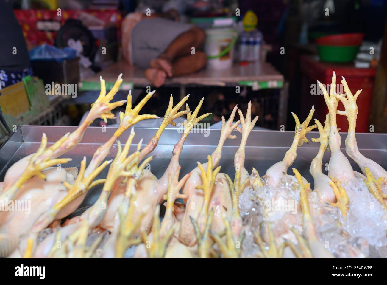 February 19, 2025, Bangkok, Thailand: Fresh chicken on display at a ...