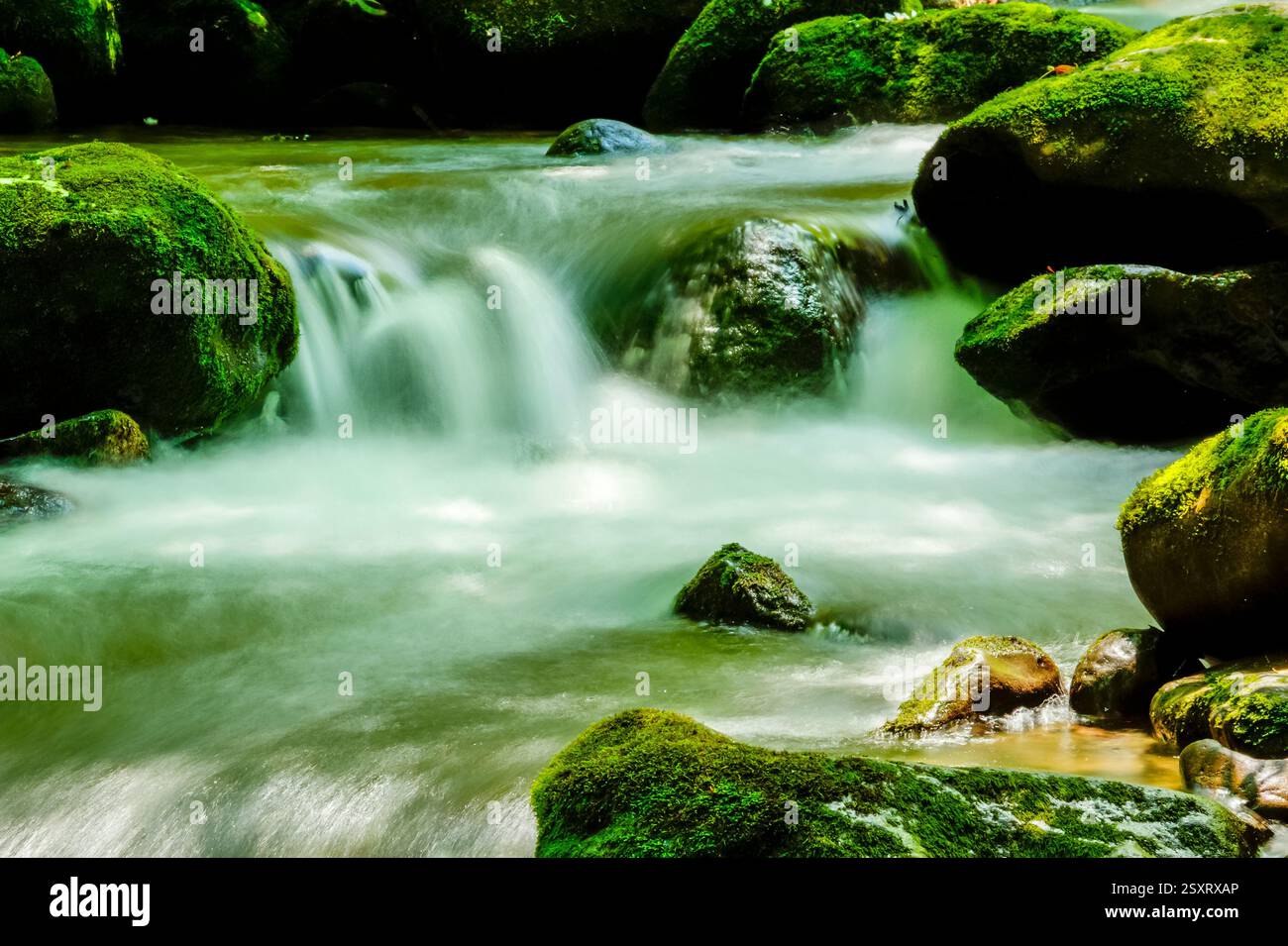 Stream of water is flowing over rocks. The water is green and clear ...