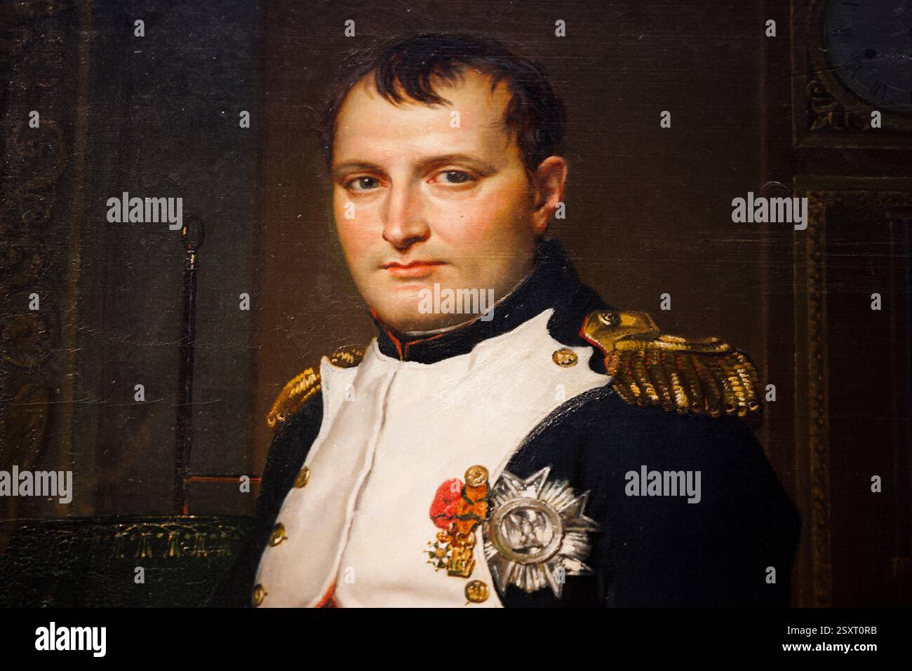 A painting of French ruler Napoleon Bonaparte by Jacques-Louis David is ...