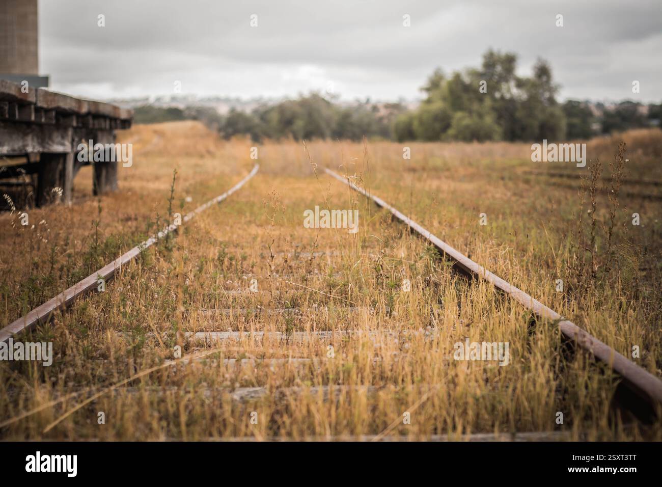 old abandoned train station Stock Photo - Alamy