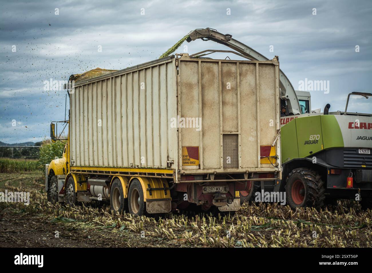 truck carting corn silage Stock Photo - Alamy