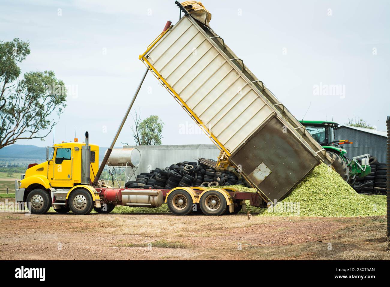 truck carting corn silage Stock Photo - Alamy