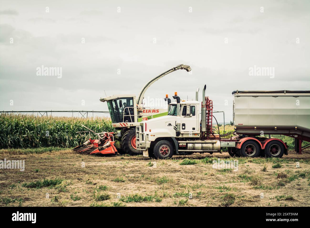 machinery making corn silage on a farm Stock Photo - Alamy
