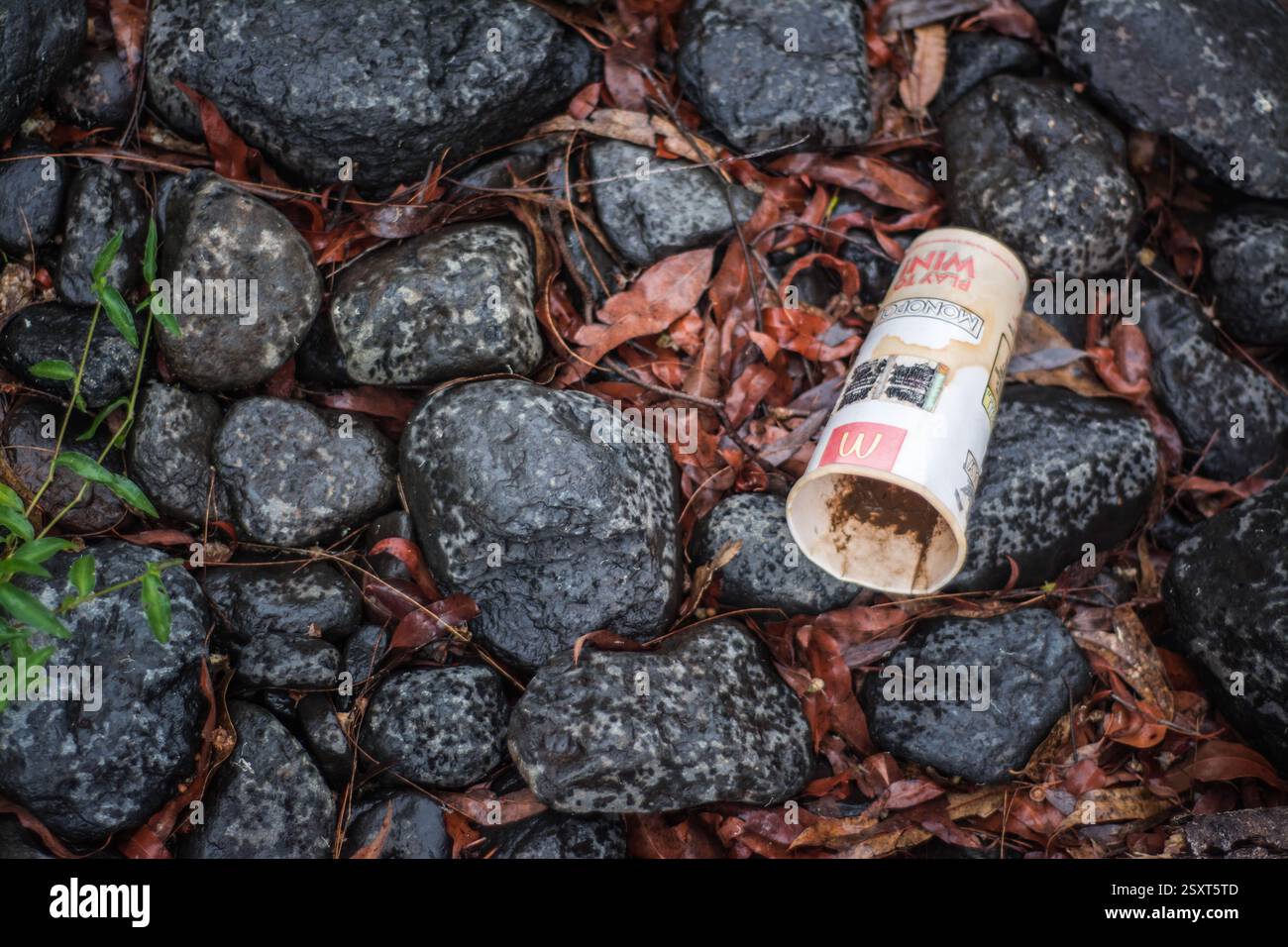 Garbage left in grass hi-res stock photography and images - Alamy