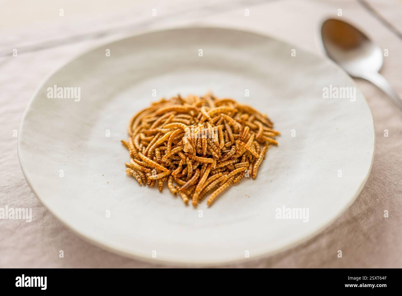 Insect food.plate of mealworms .alternative source of protein.Worms ...