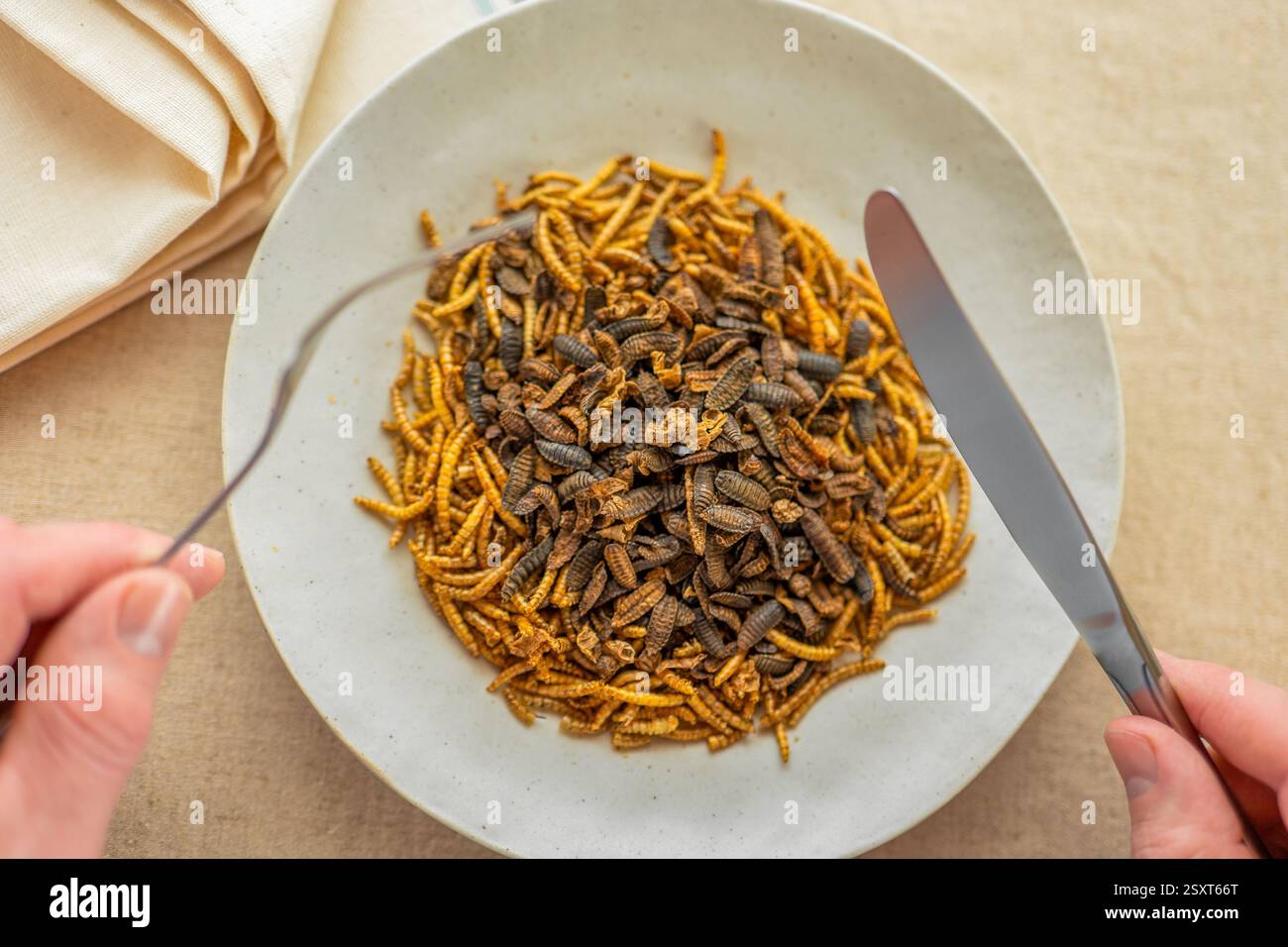 Edible Insects . Plate of Crispy Insects.Insect food.alternative source ...