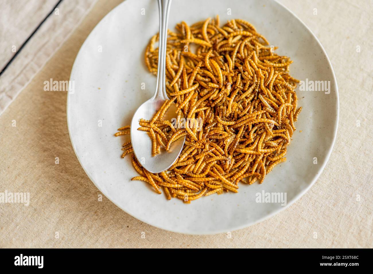 Worms Plate on a table Edible Insects.Plate of Crispy Fried Insects ...