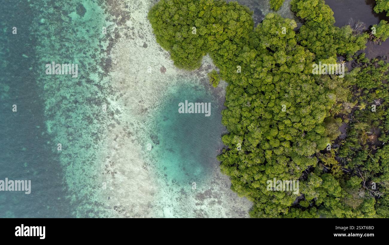Panama.Tropical Island Aerial View. Wild coastline lush exotic green ...