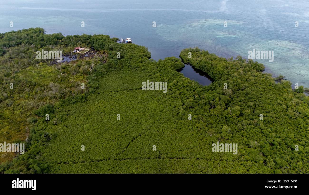 Panama.Tropical Island Aerial View. Wild coastline lush exotic green ...